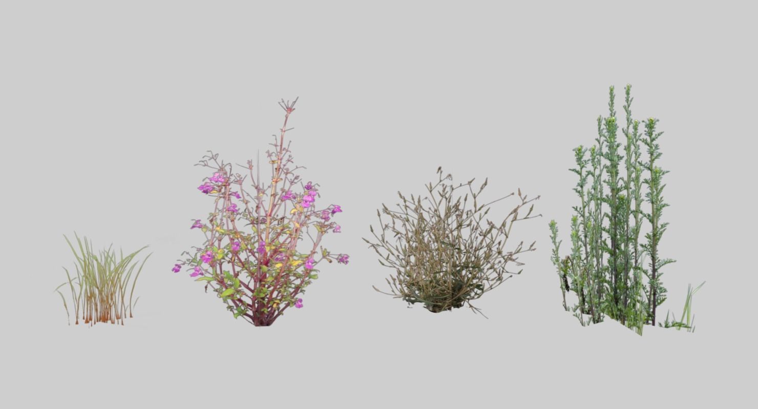 3D Model Collection Plants and trees VR / AR / low-poly | CGTrader