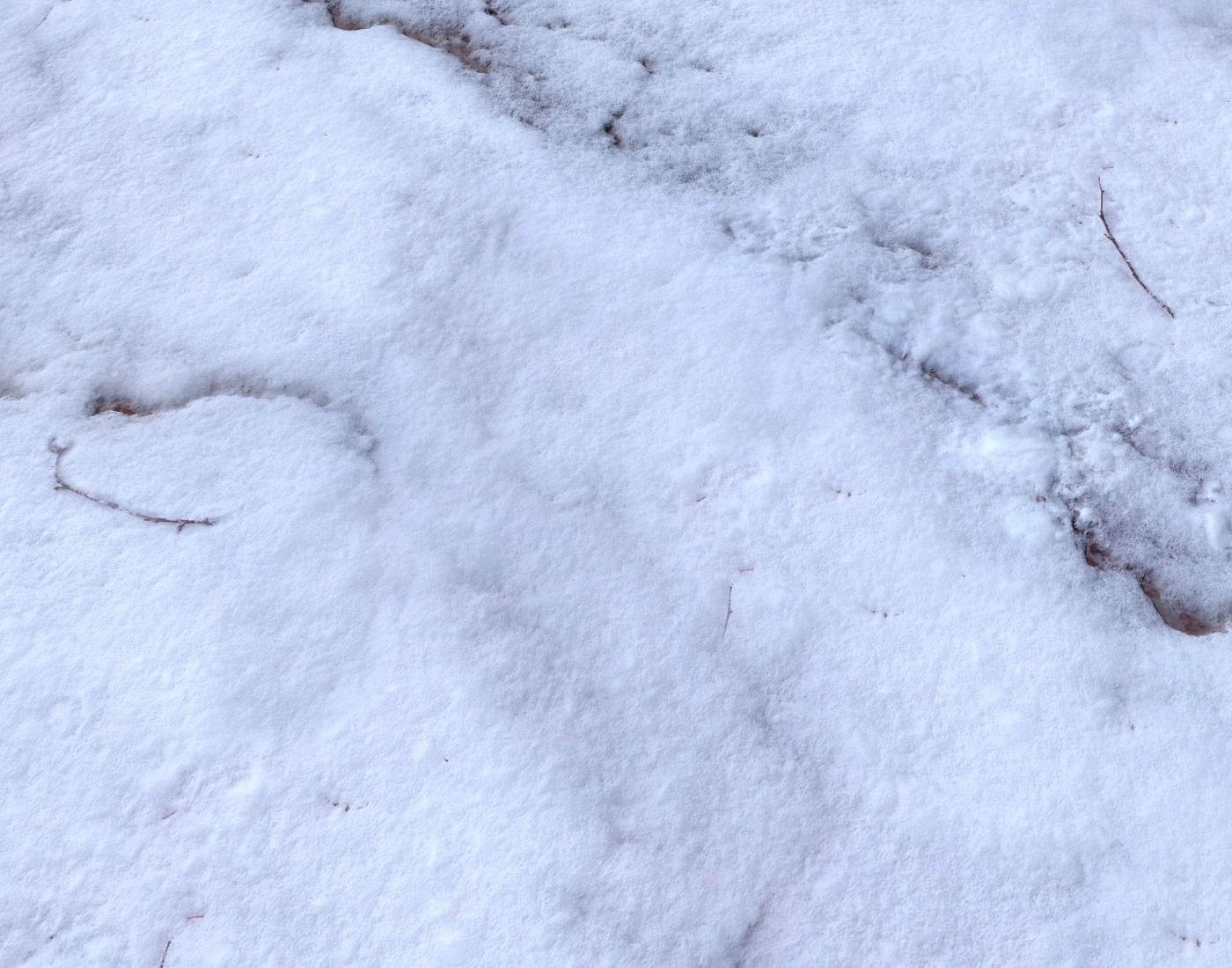 Snow terrain PBR pack 6 Texture | CGTrader