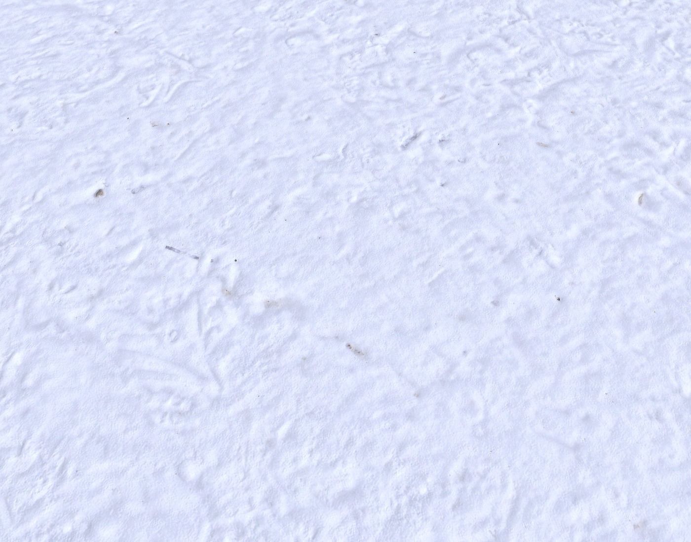 Snow terrain PBR pack 6 Texture | CGTrader