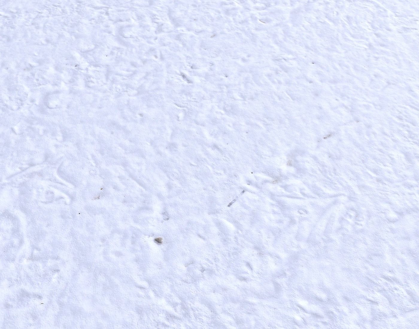 Snow terrain PBR pack 6 Texture | CGTrader