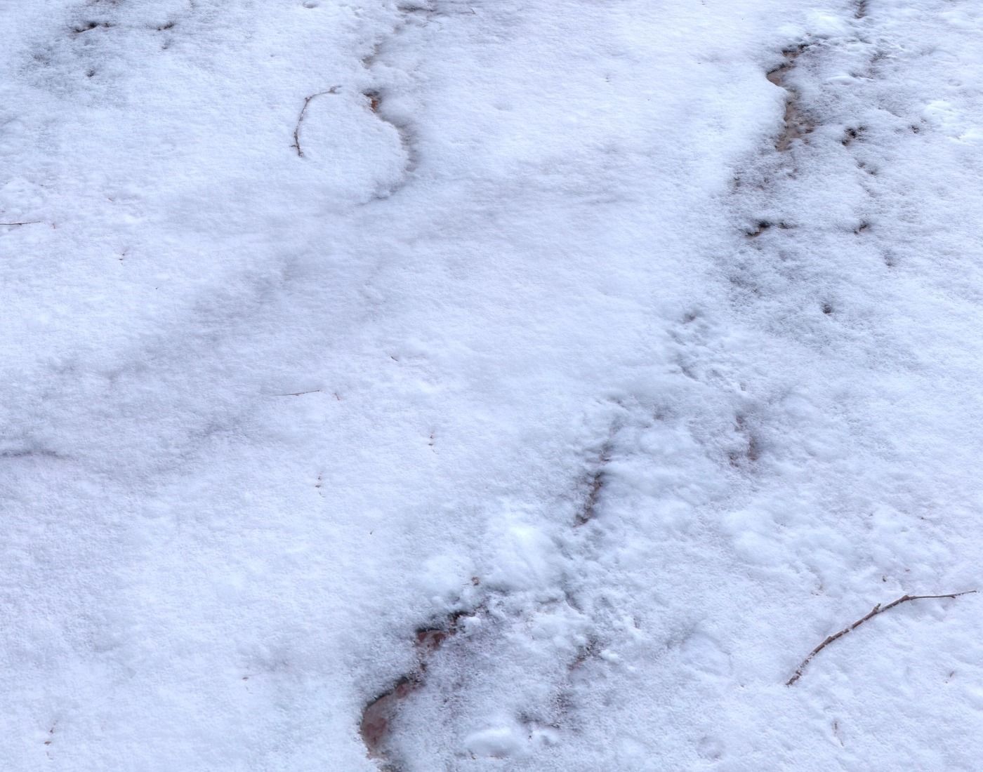 Snow terrain PBR pack 6 Texture | CGTrader