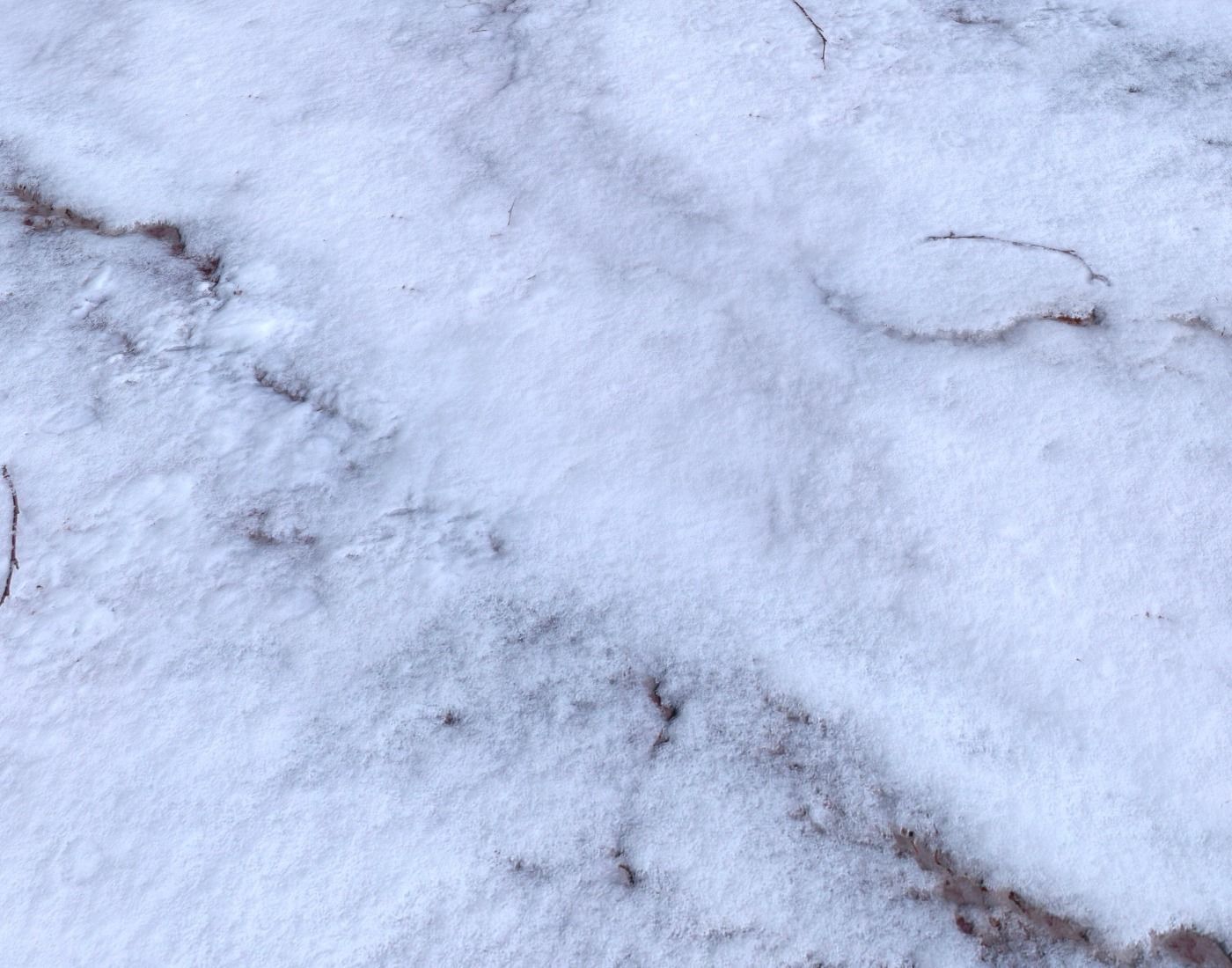 Snow terrain PBR pack 6 Texture | CGTrader