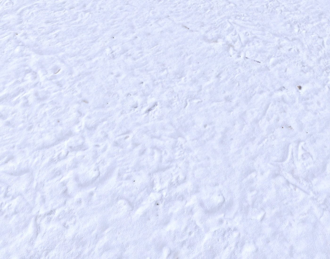 Snow terrain PBR pack 6 Texture | CGTrader