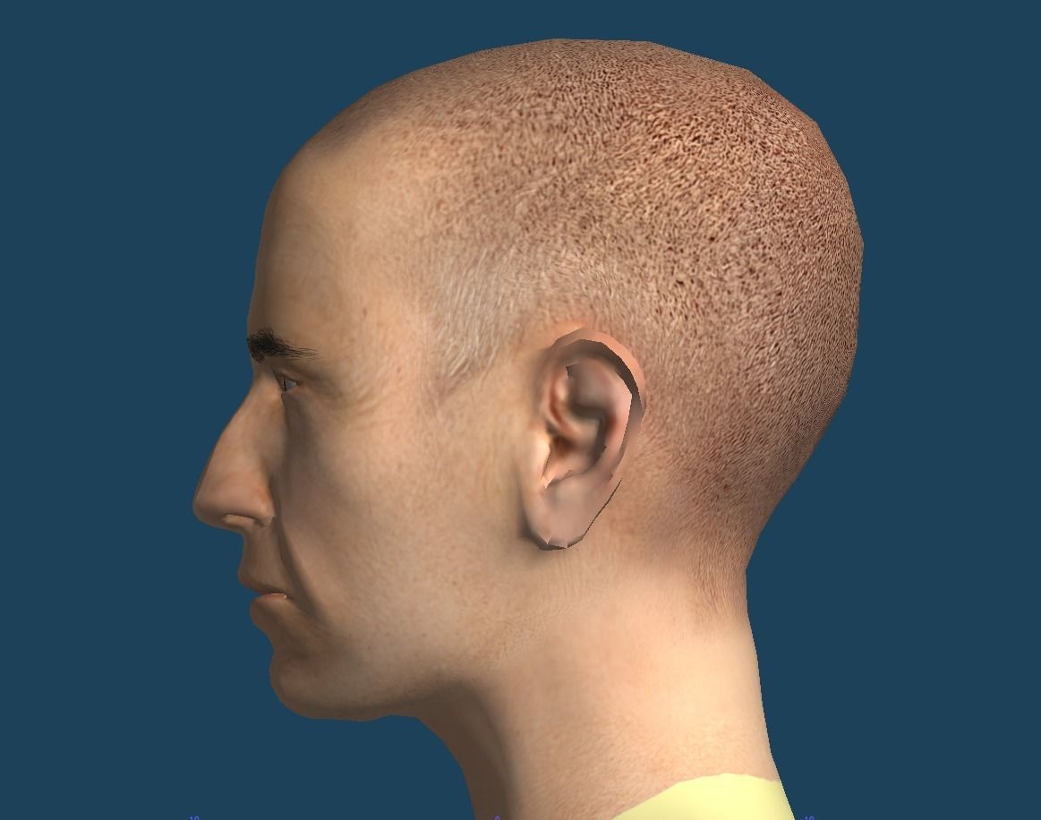 Unity Humanoid Model Male 003 free 3D model animated rigged | CGTrader