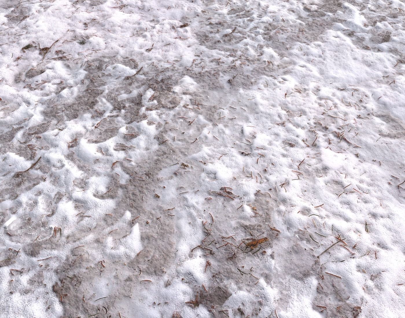 Snow terrain PBR pack 8 Texture | CGTrader