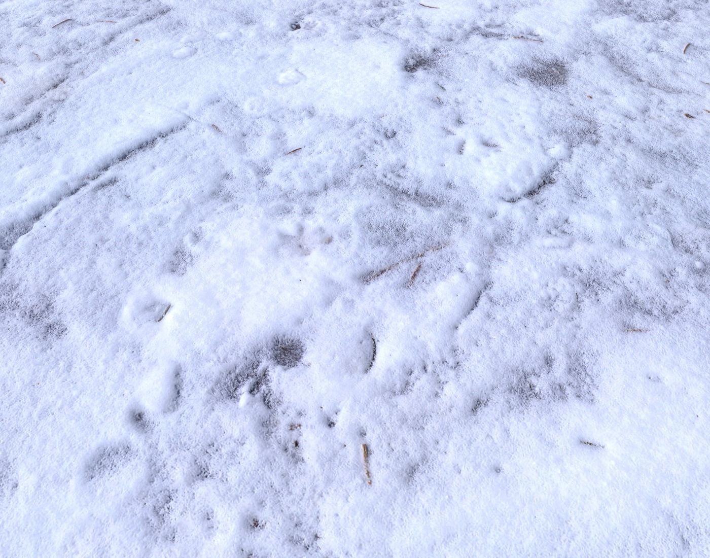Snow terrain PBR pack 9 Texture | CGTrader