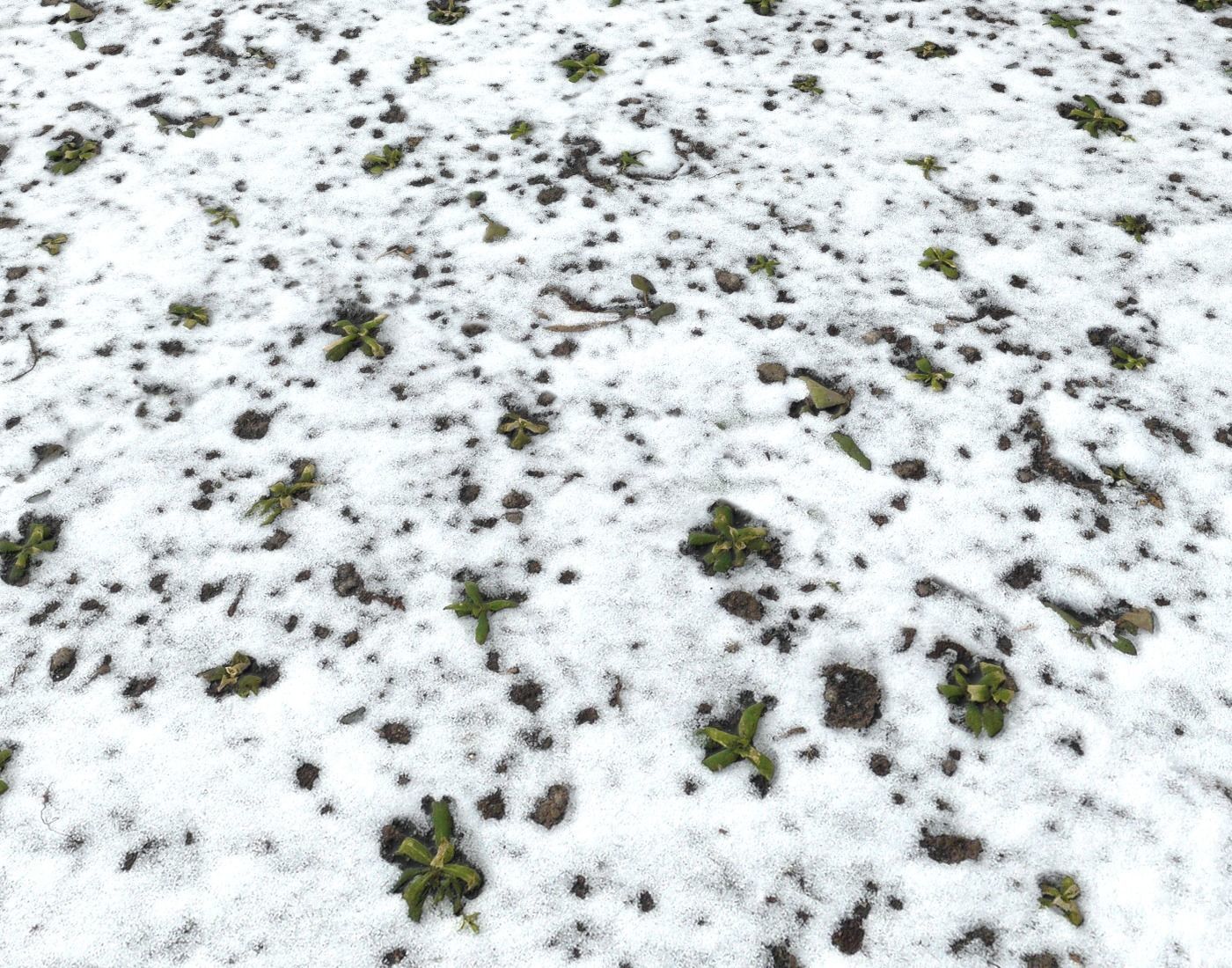 Snow terrain PBR pack 10 Texture | CGTrader