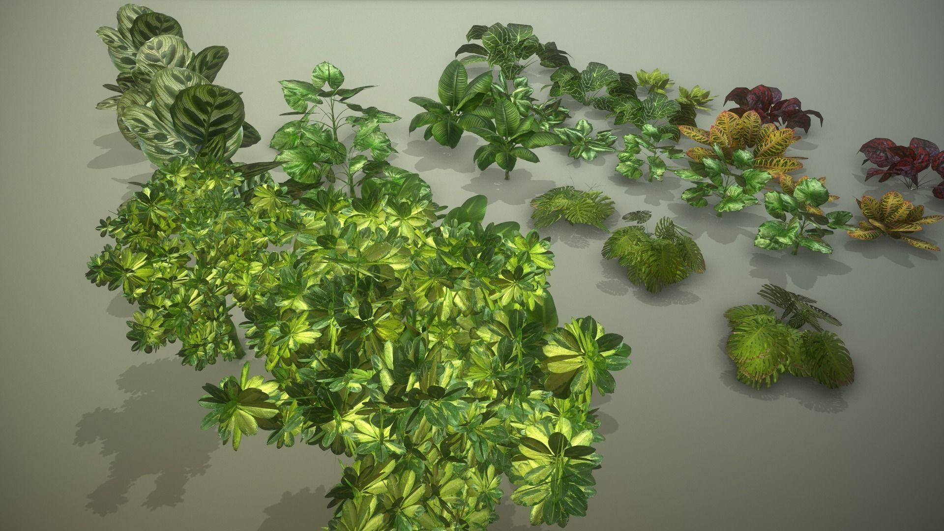 3D model Tropical Vegetation Pack 01 VR / AR / low-poly | CGTrader