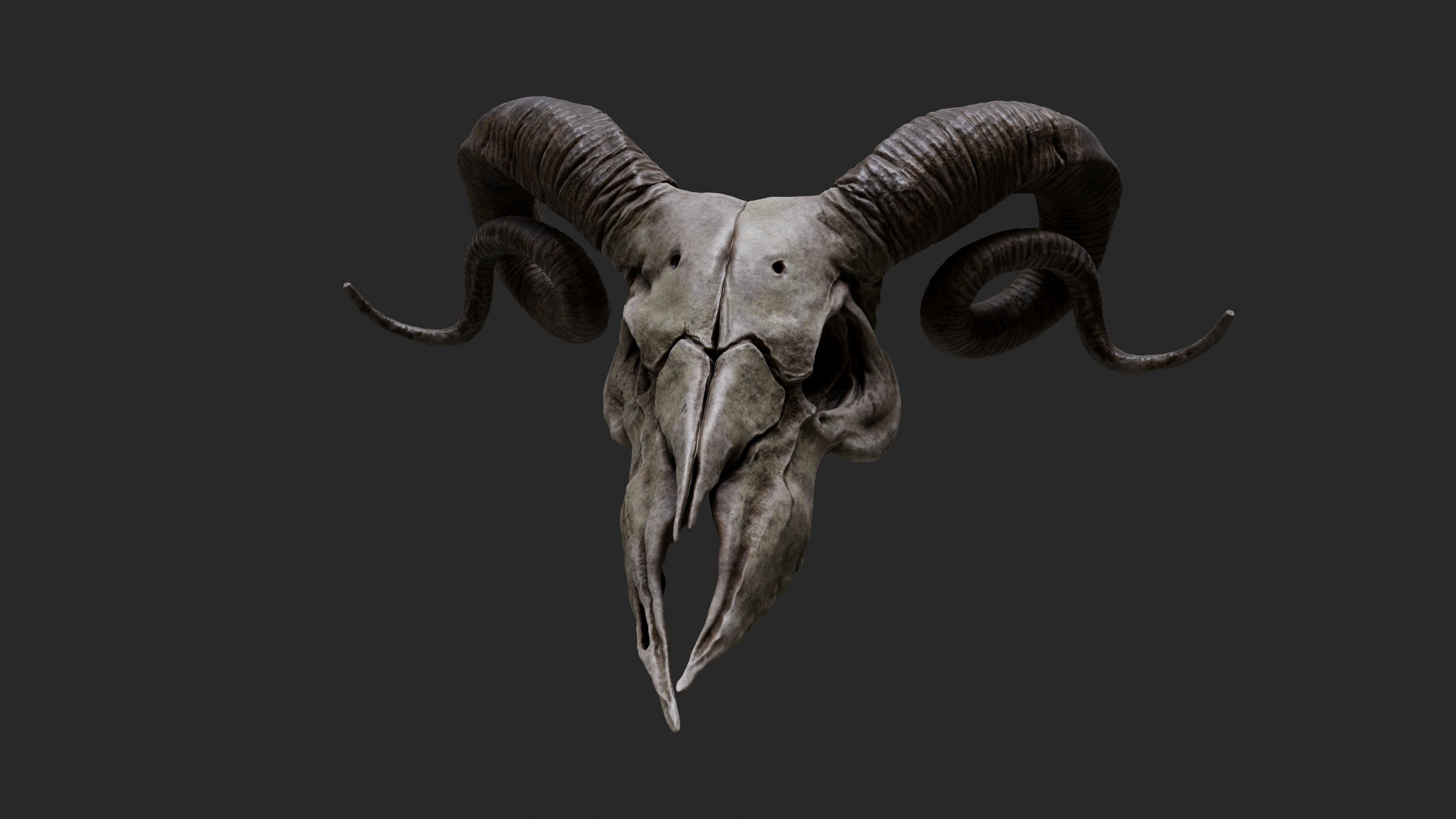 3D model Ram Skull - Lowpoly and Highpoly VR / AR / low-poly | CGTrader