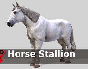 Stallion 3D Models | CGTrader