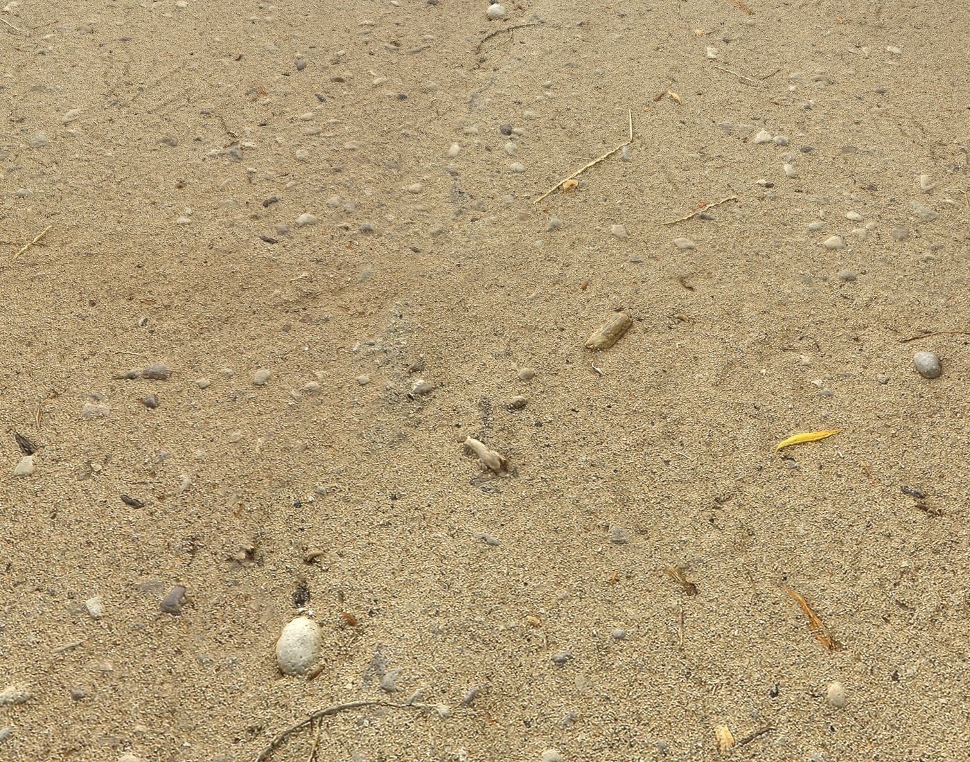 Sand beach terrain PBR pack 5 Texture | CGTrader