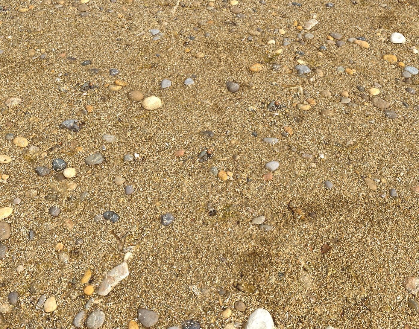 Sand beach terrain PBR pack 5 Texture | CGTrader