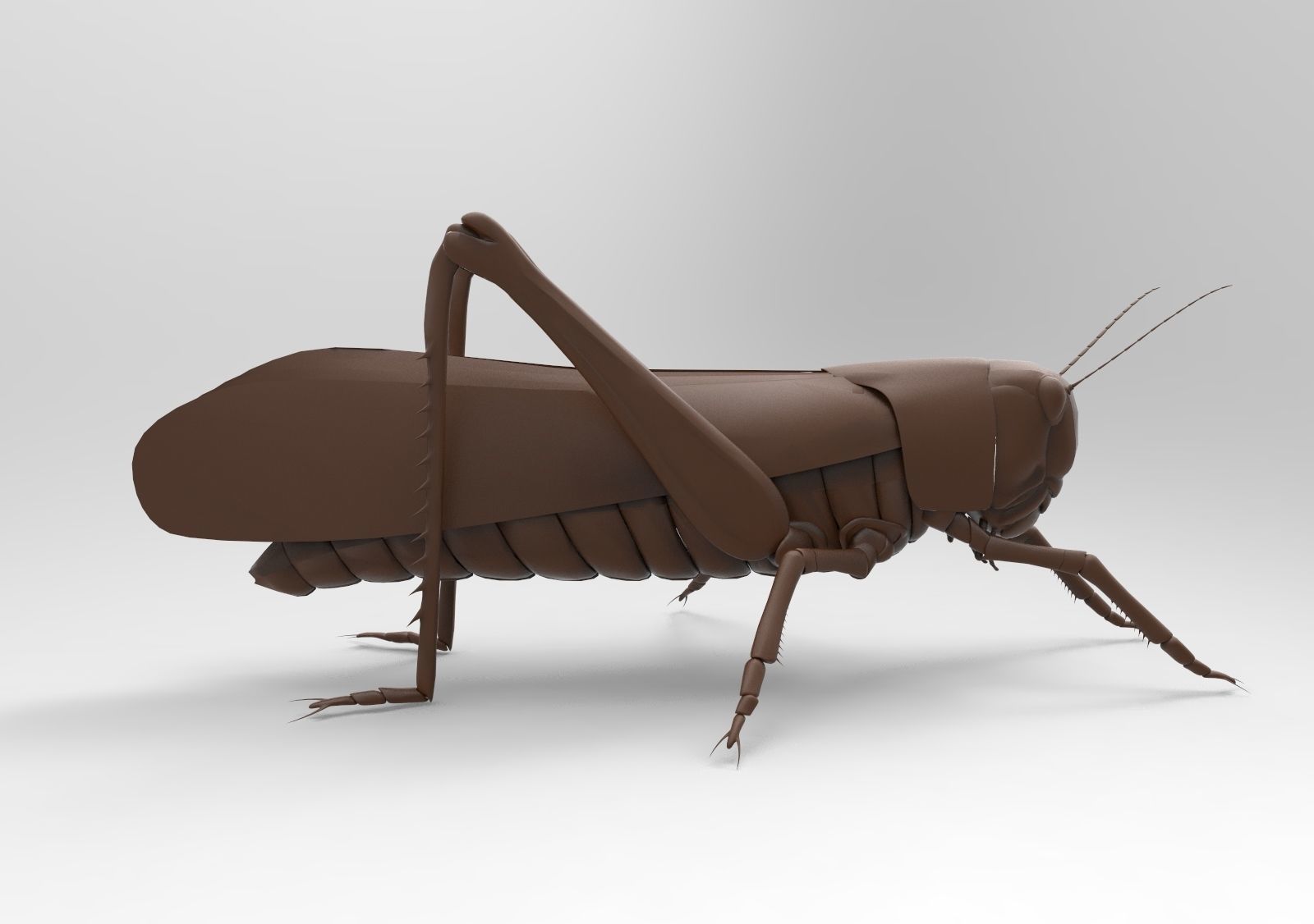 Grasshopper 3D model 3D printable | CGTrader