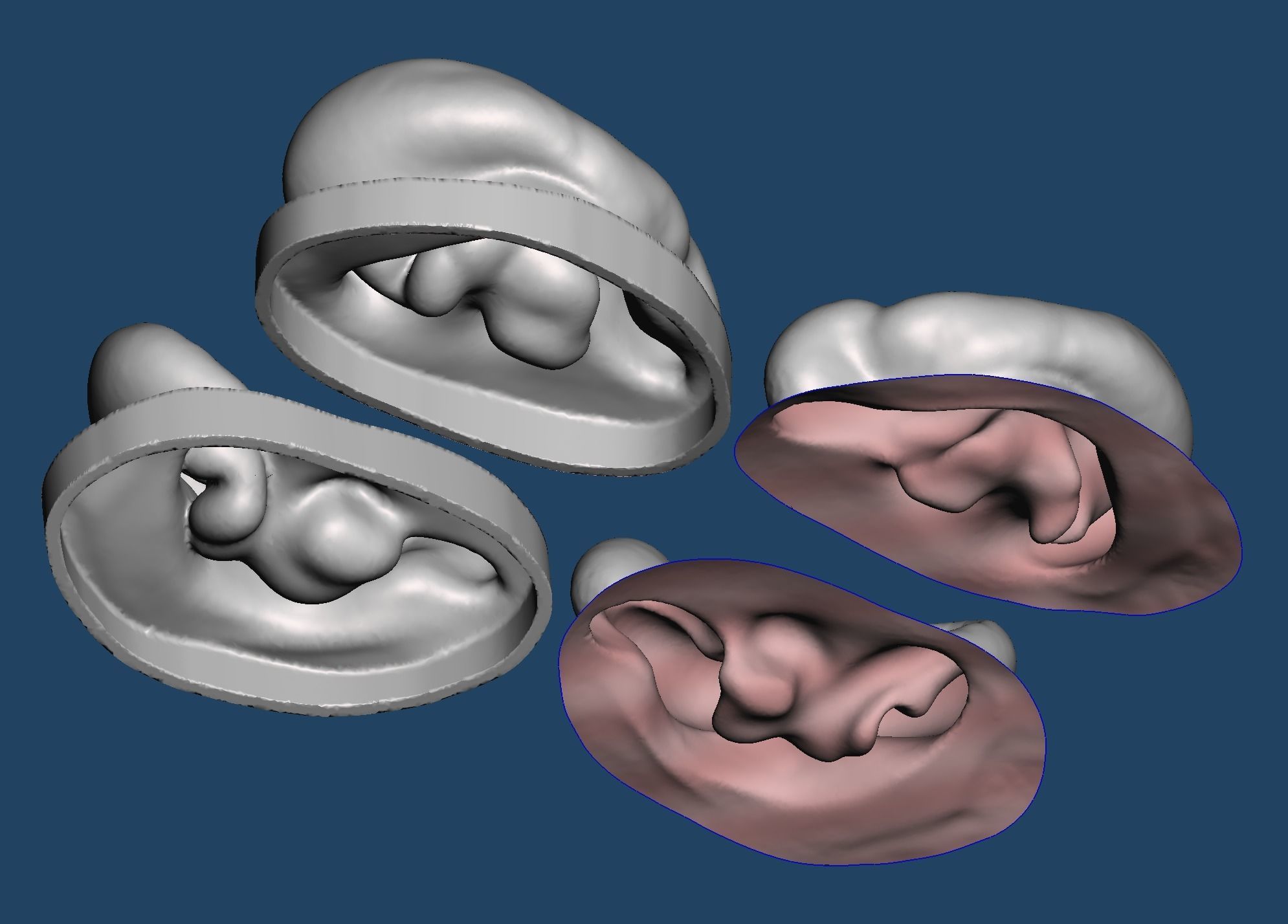 Natural human ear anatomy 03 3D model 3D printable | CGTrader