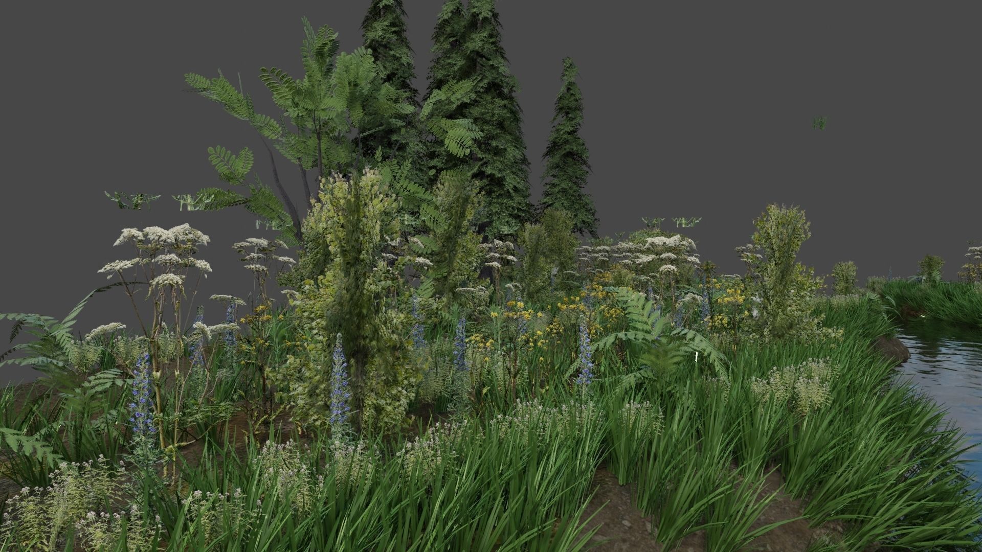 Scene river in forest 3D model | CGTrader