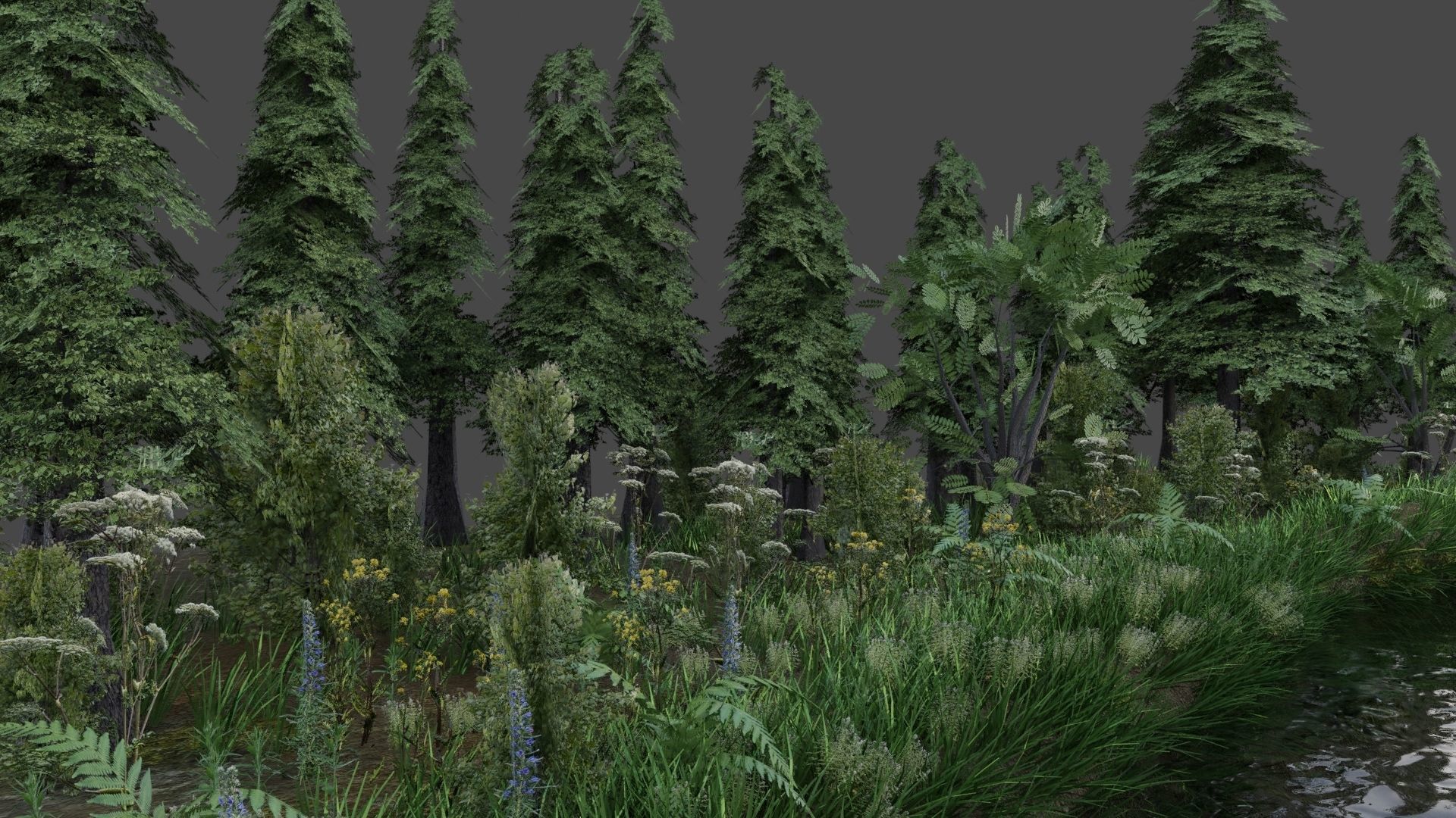 Scene river in forest 3D model | CGTrader