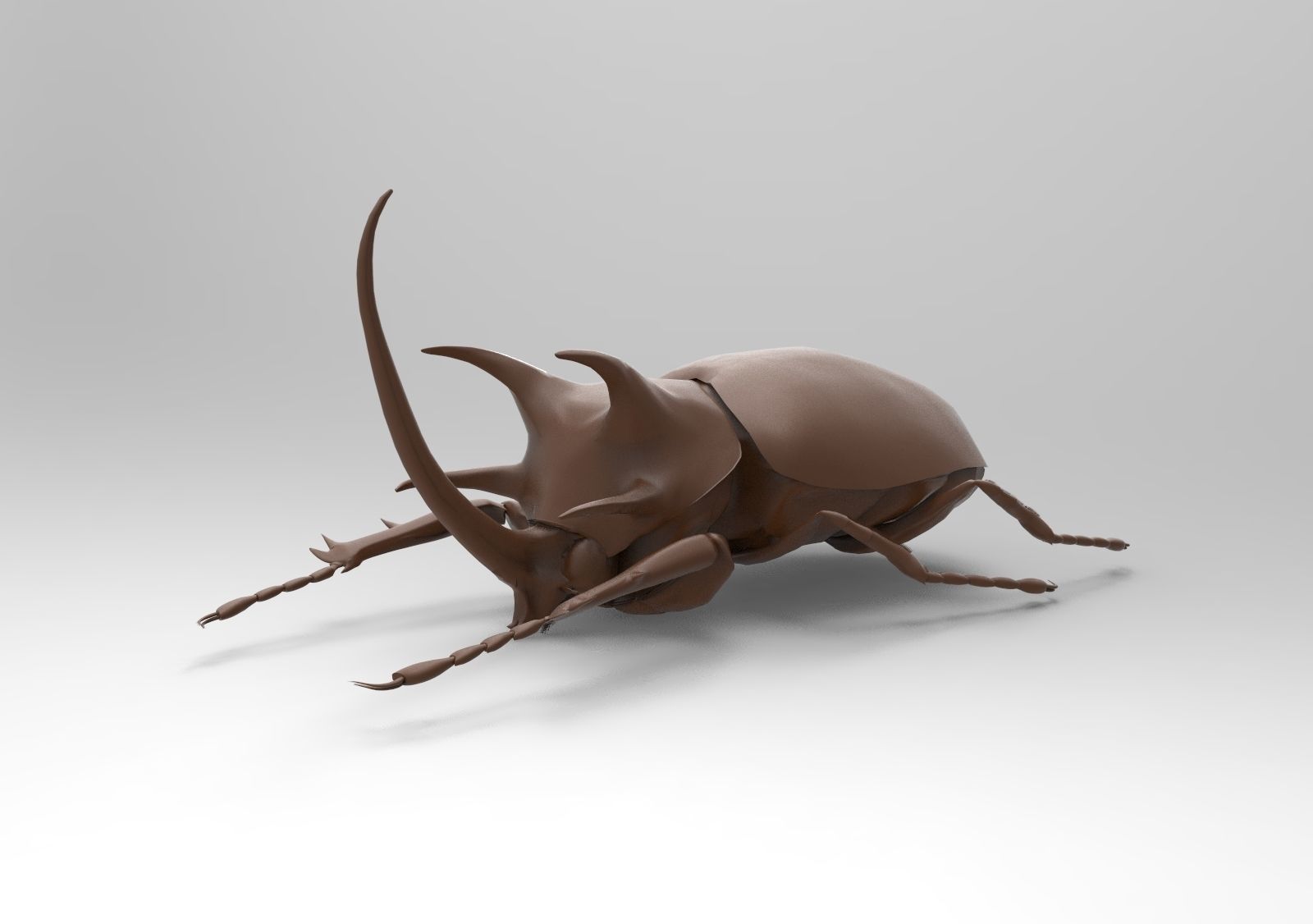 Lucanus beetle 3D model 3D printable | CGTrader