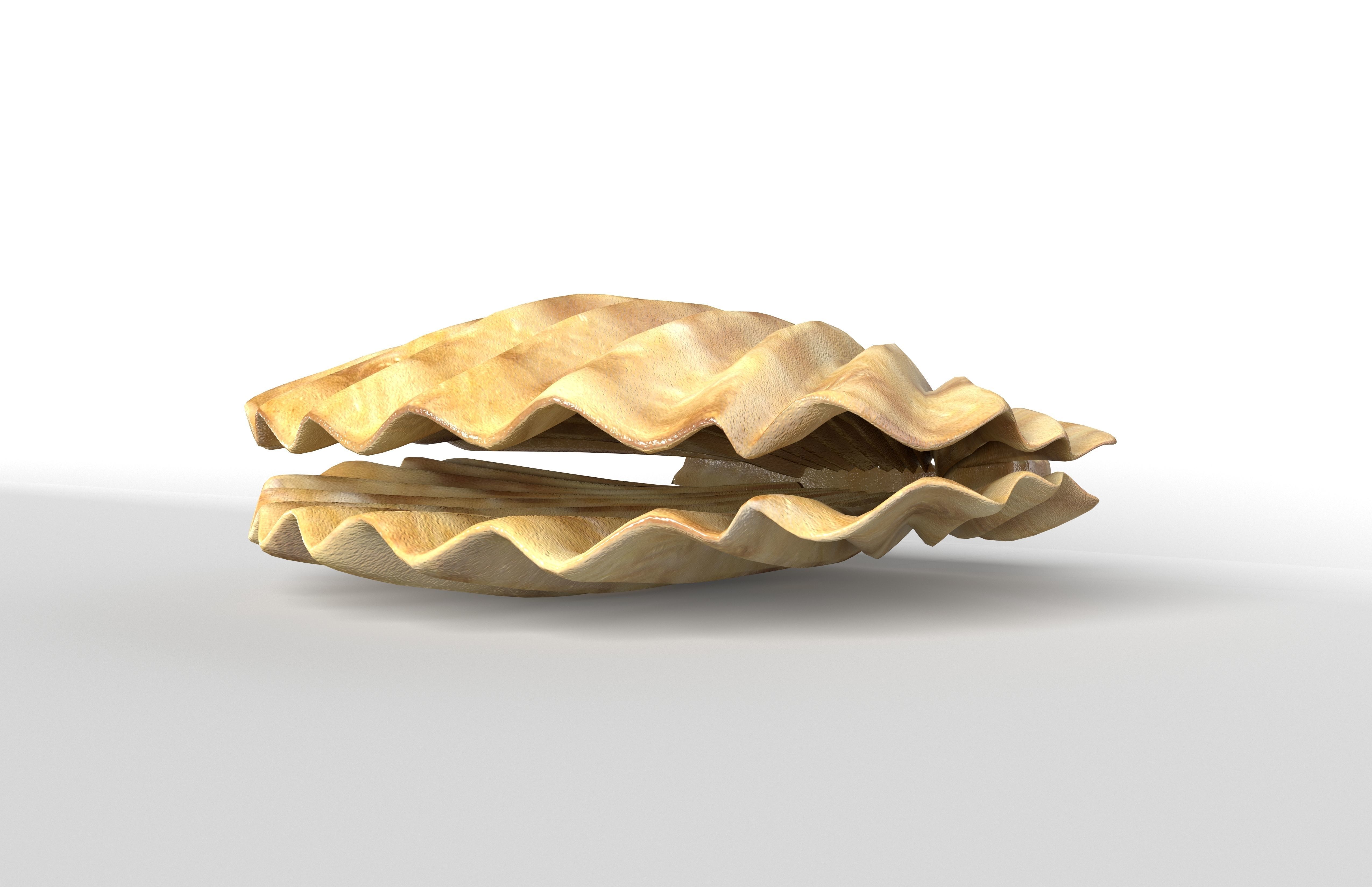 3D model Shell v1 001 VR / AR / low-poly | CGTrader