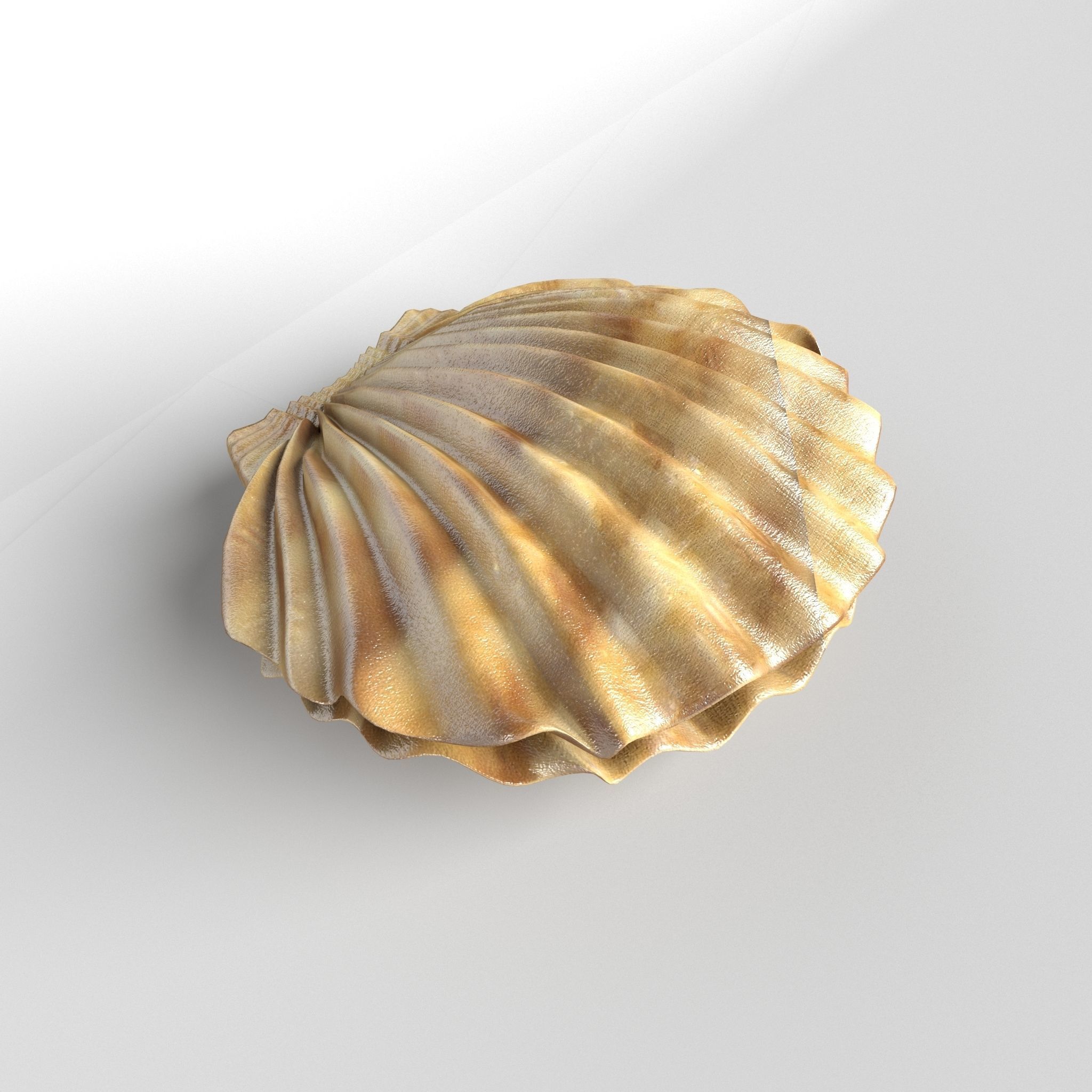 3D model Shell v1 001 VR / AR / low-poly | CGTrader