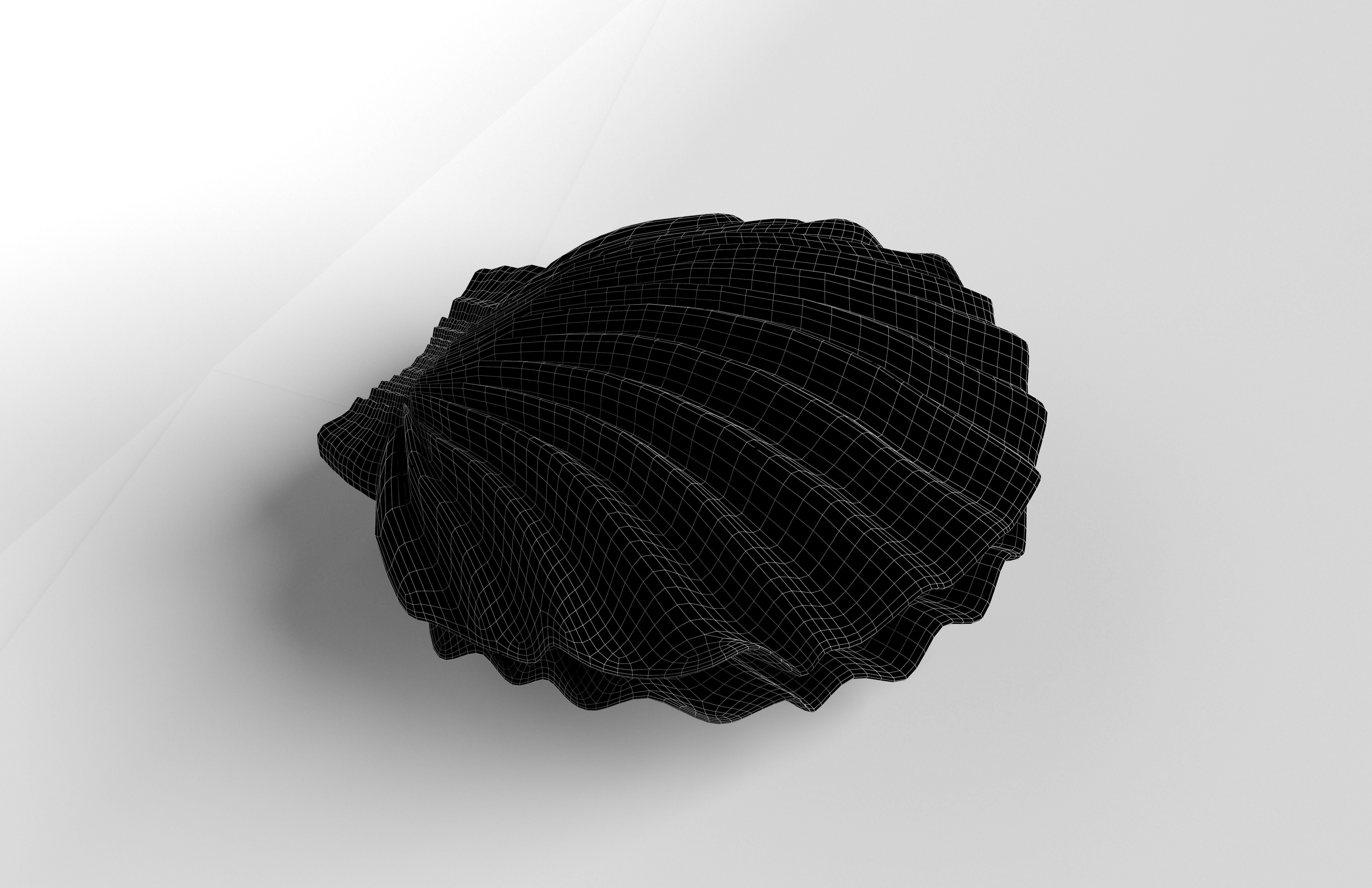 3D model Shell v1 001 VR / AR / low-poly | CGTrader