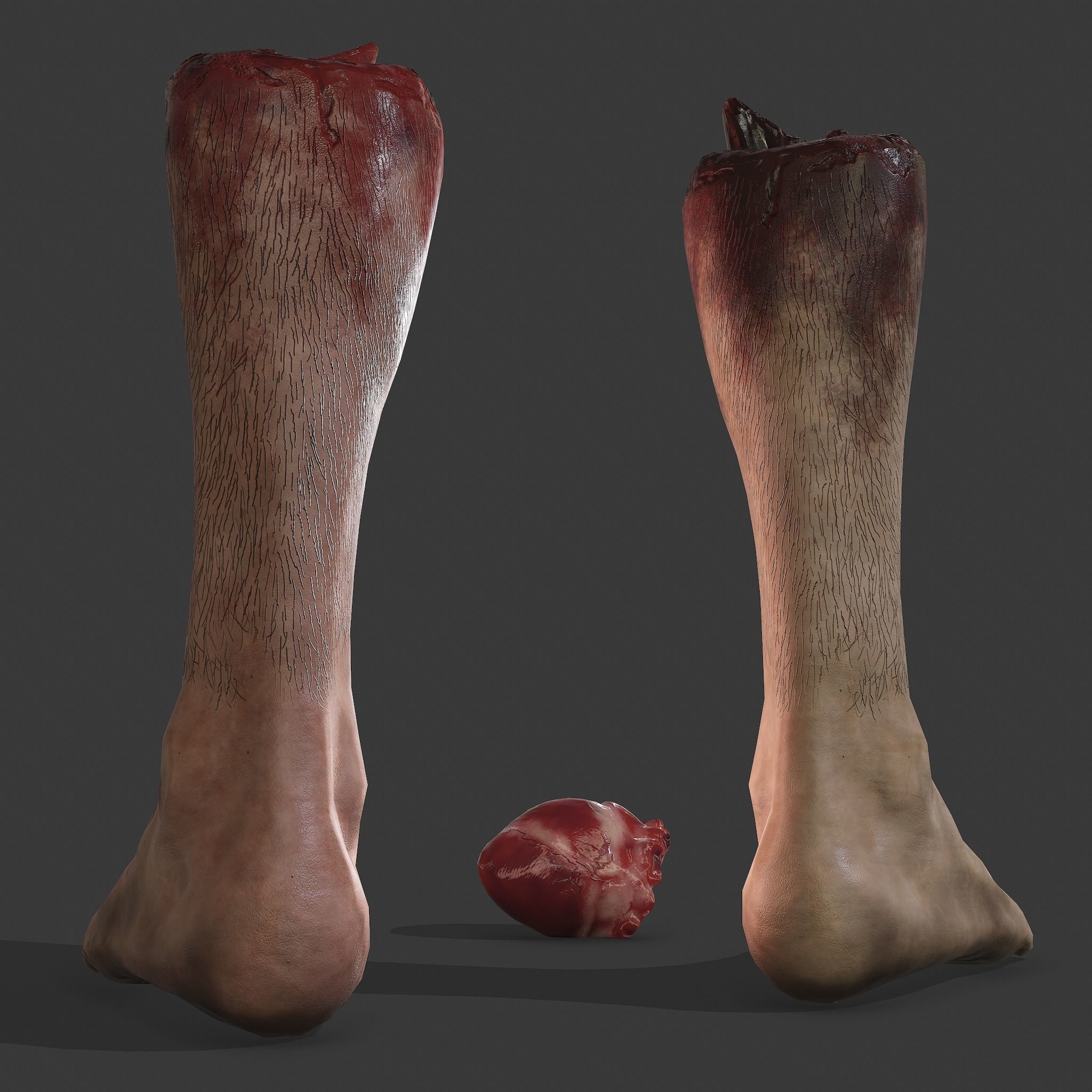 3D Model Collection Severed Leg and Human Heart Pack VR / AR / low-poly ...