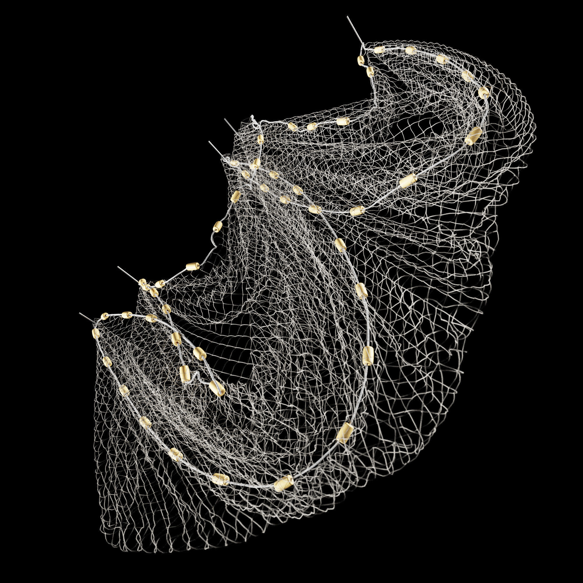 Fishnet fish net 3D model | CGTrader