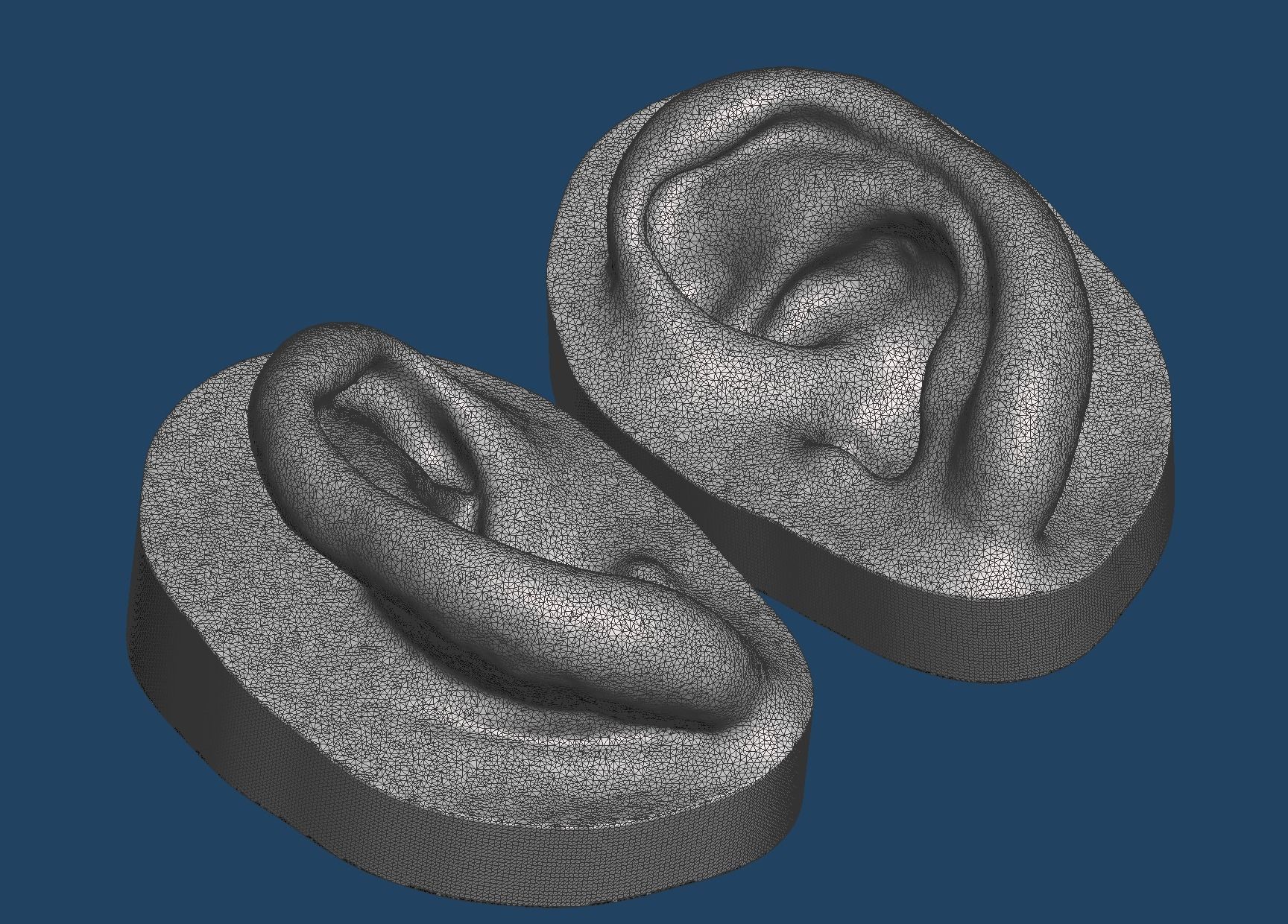 Natural human ear anatomy 09 3D model 3D printable | CGTrader