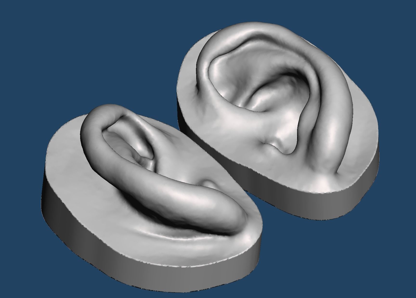 Natural human ear anatomy 09 3D model 3D printable | CGTrader