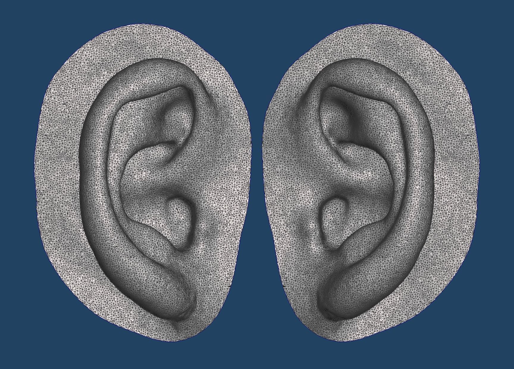 Natural human ear anatomy 09 3D model 3D printable | CGTrader