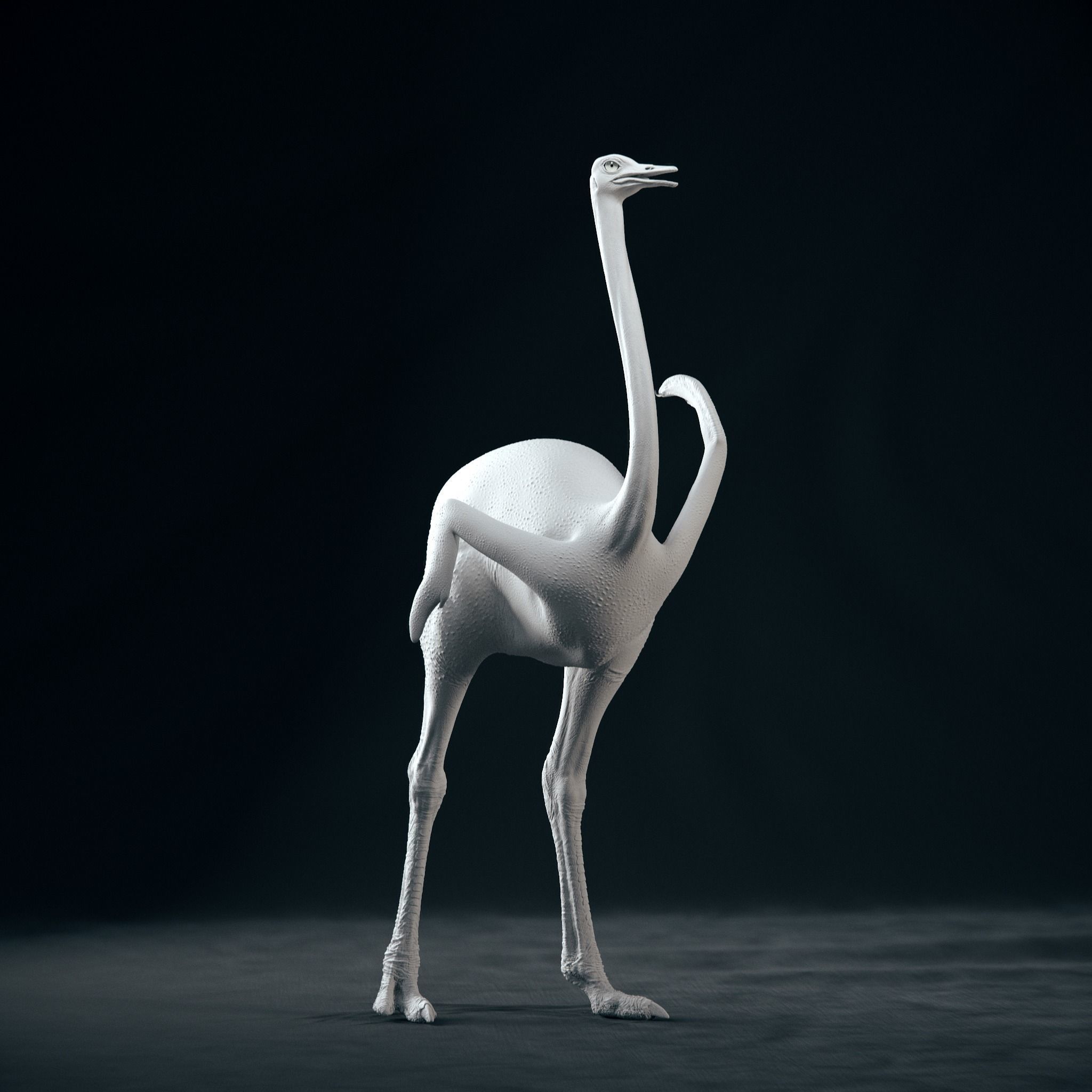 Realistic 3D model of Ostrich with RIG and texture pack 3D model rigged ...