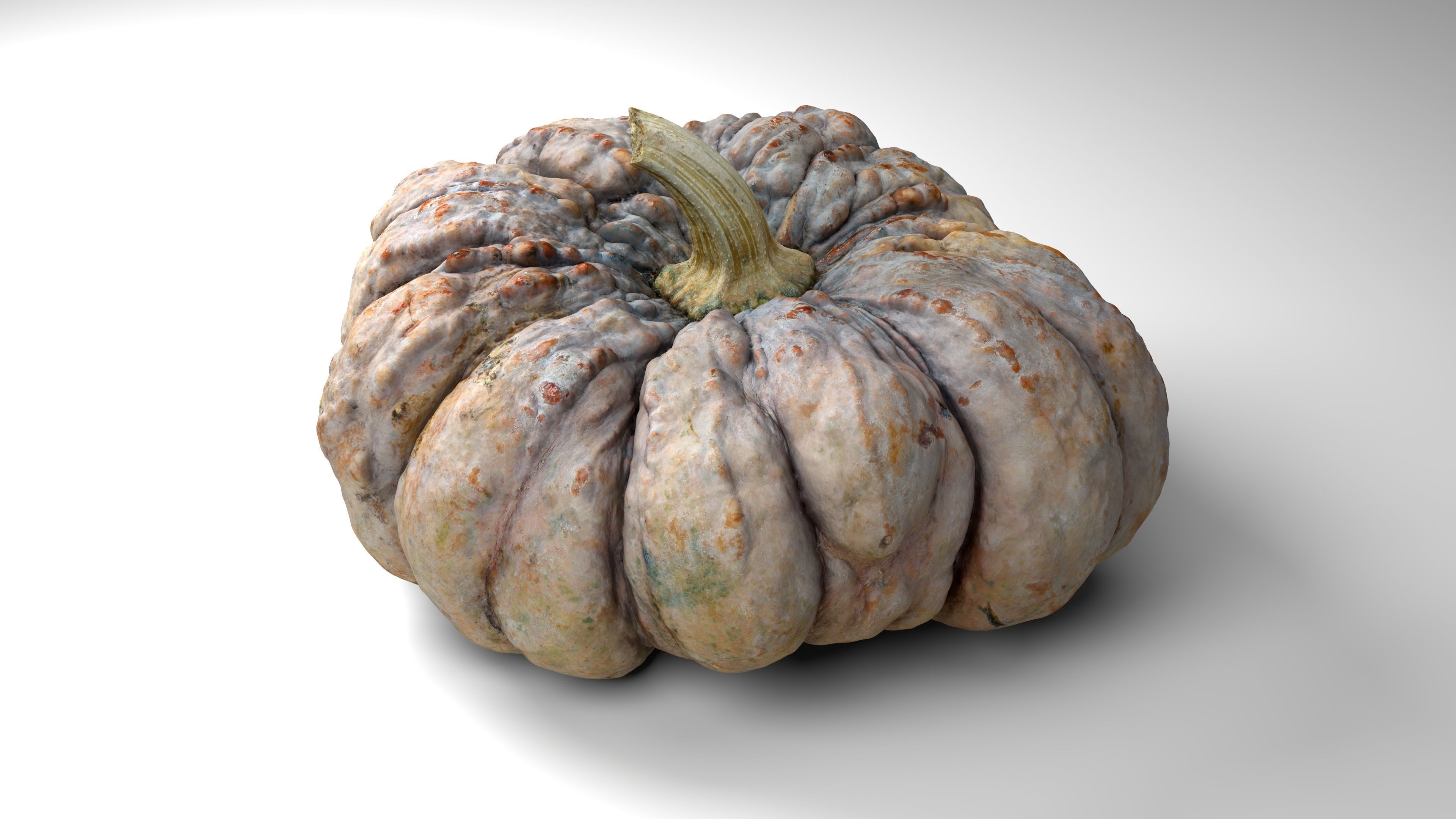 3D model Warty Pumpkin - Photorealistic Scan VR / AR / low-poly | CGTrader