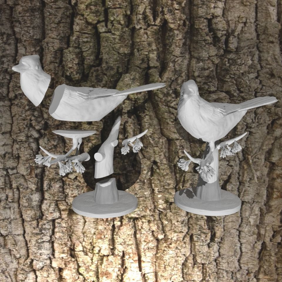 Blue Jay 3D model 3D printable | CGTrader
