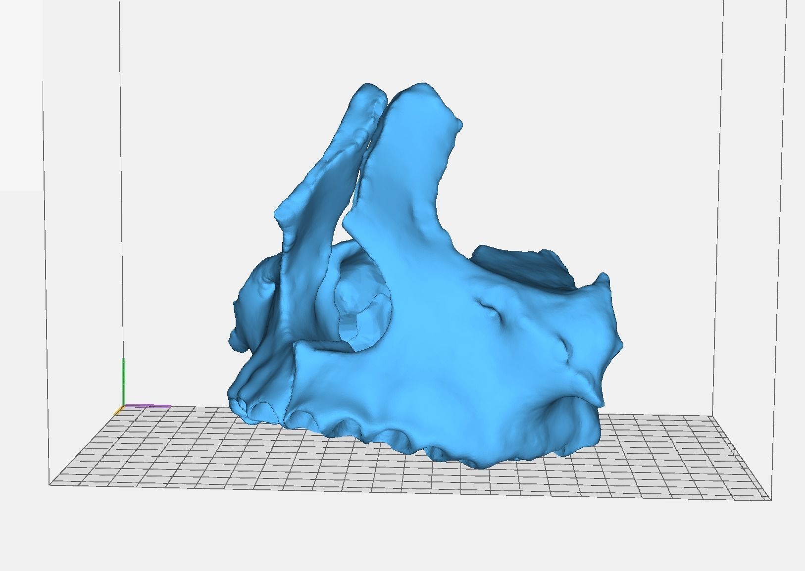 Maxillary and Mandibular dental models with anatomical teeth 3D model ...
