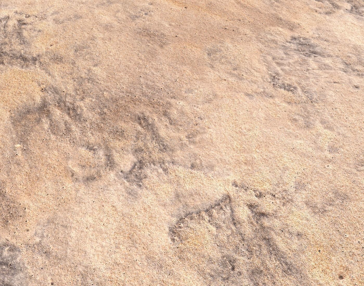 Sand terrain PBR pack 8 Texture | CGTrader