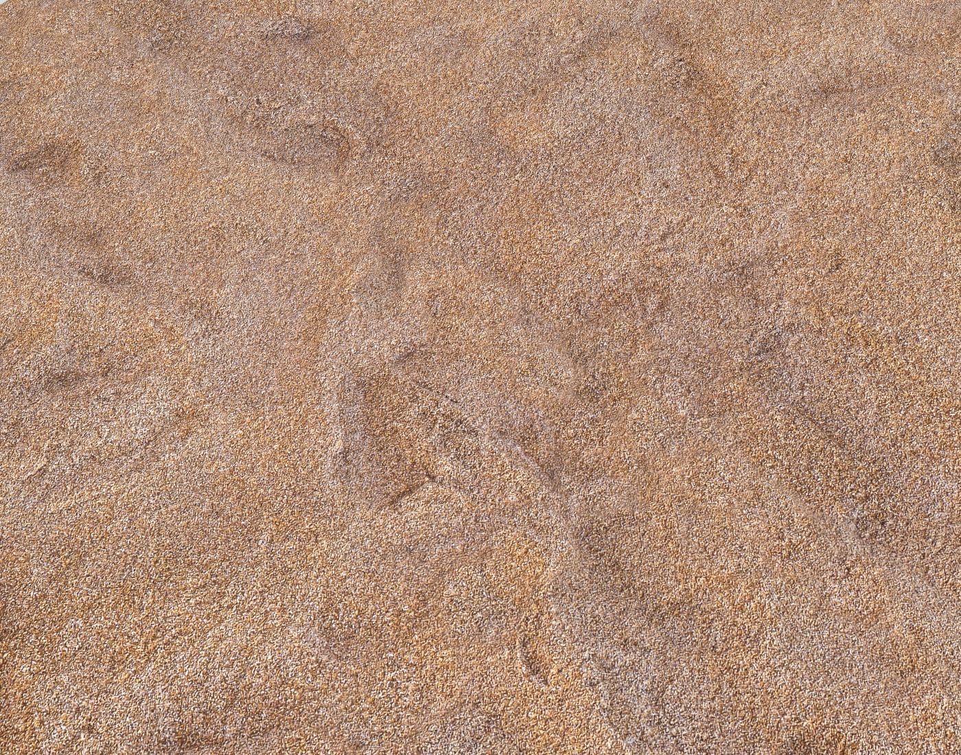 Sand terrain PBR pack 8 Texture | CGTrader