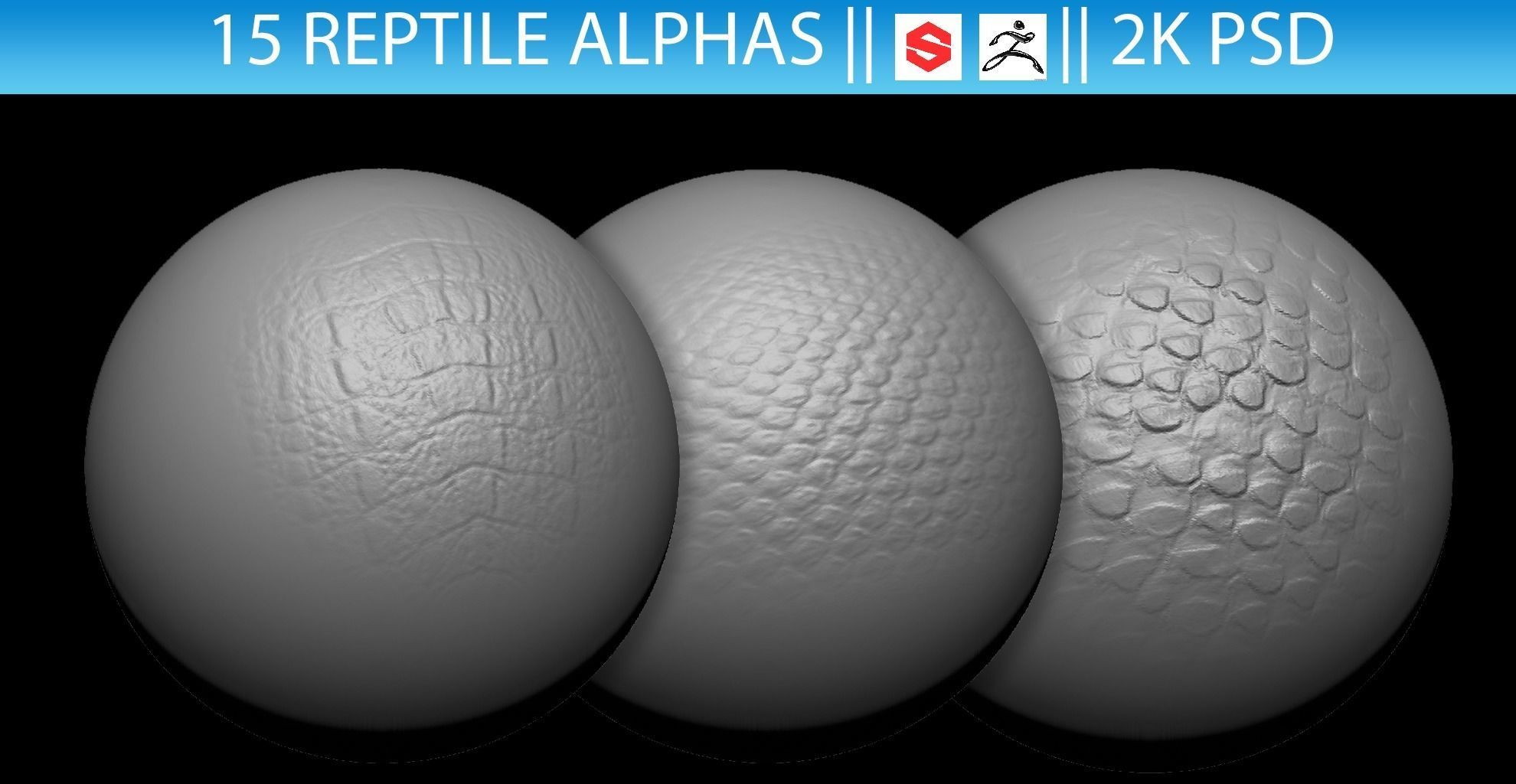 15 Reptile Alphas for ZBrush and Substance 3D model | CGTrader