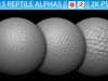 15 Reptile Alphas for ZBrush and Substance 3D model | CGTrader