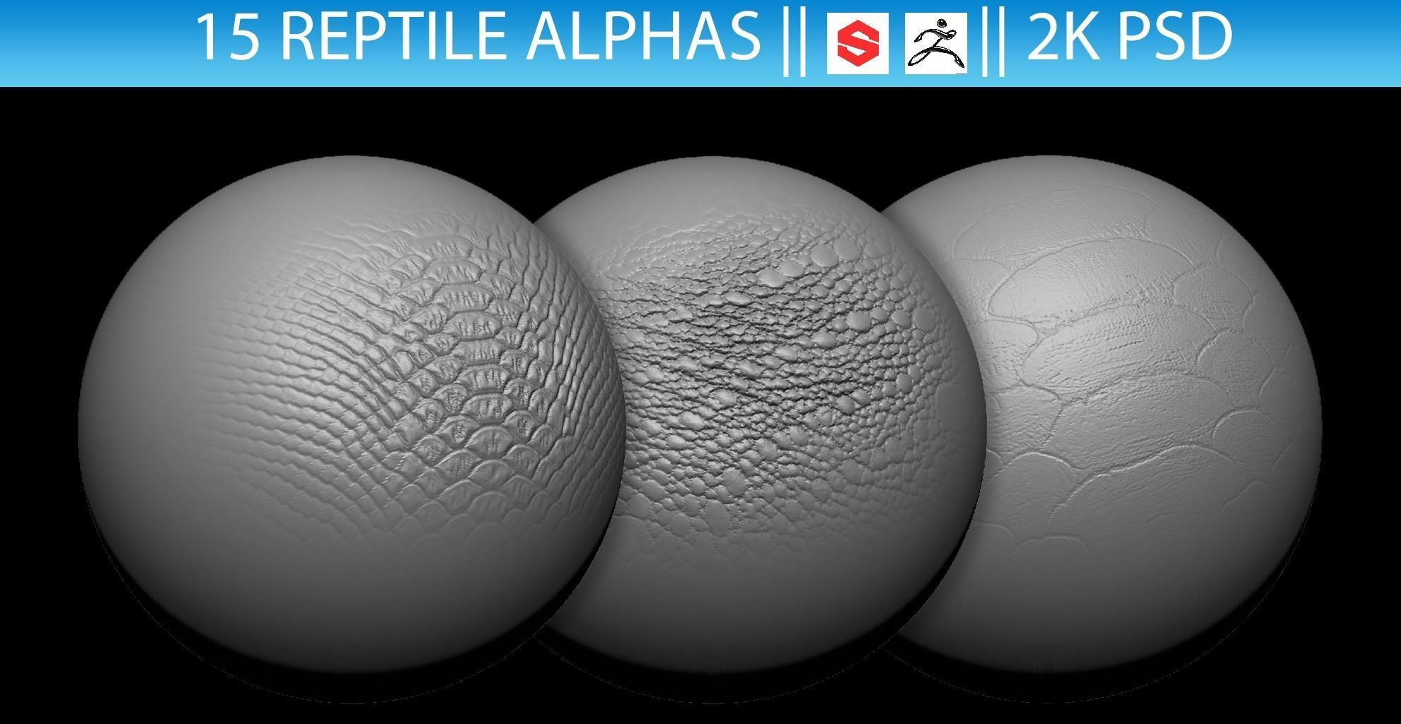 15 Reptile Alphas for ZBrush and Substance 3D model | CGTrader