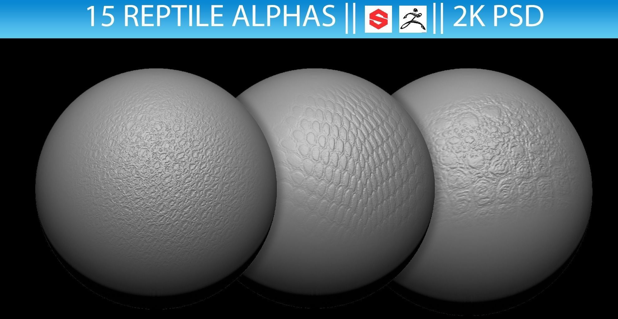 15 Reptile Alphas for ZBrush and Substance 3D model | CGTrader