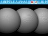15 Reptile Alphas for ZBrush and Substance 3D model | CGTrader