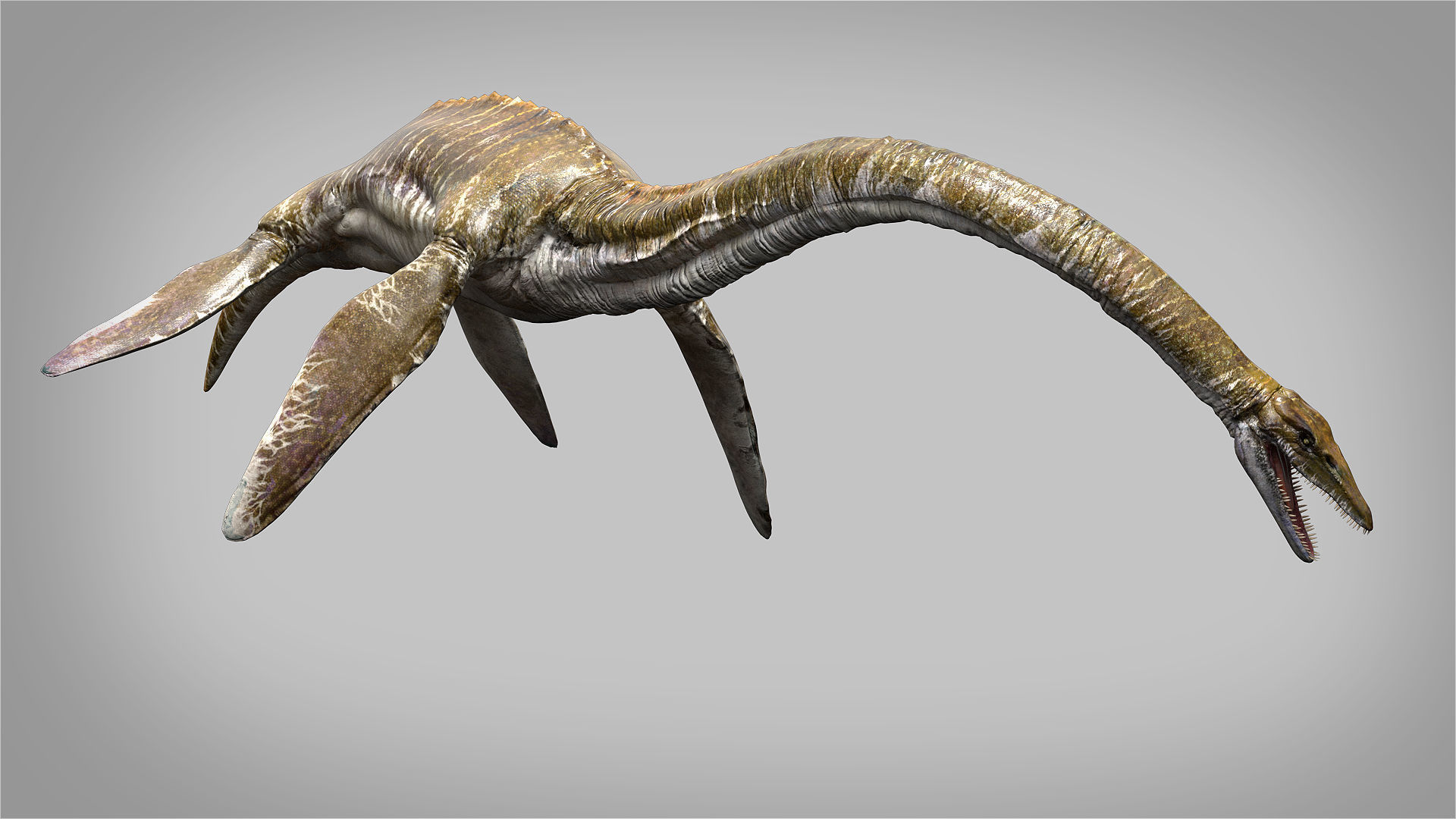 3D model Elasmosaurus Rigged VR / AR / low-poly | CGTrader