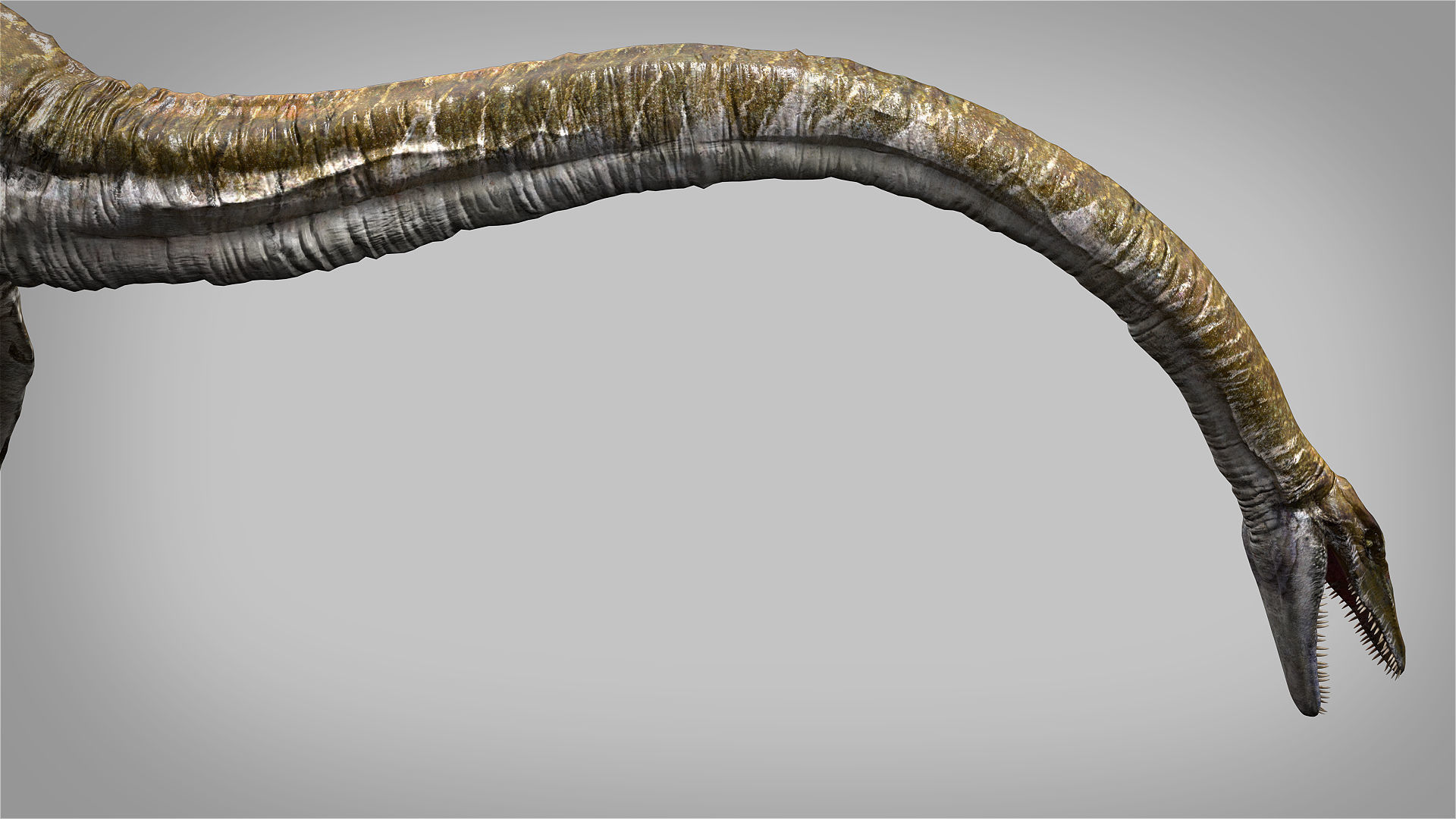 3D model Elasmosaurus Rigged VR / AR / low-poly | CGTrader