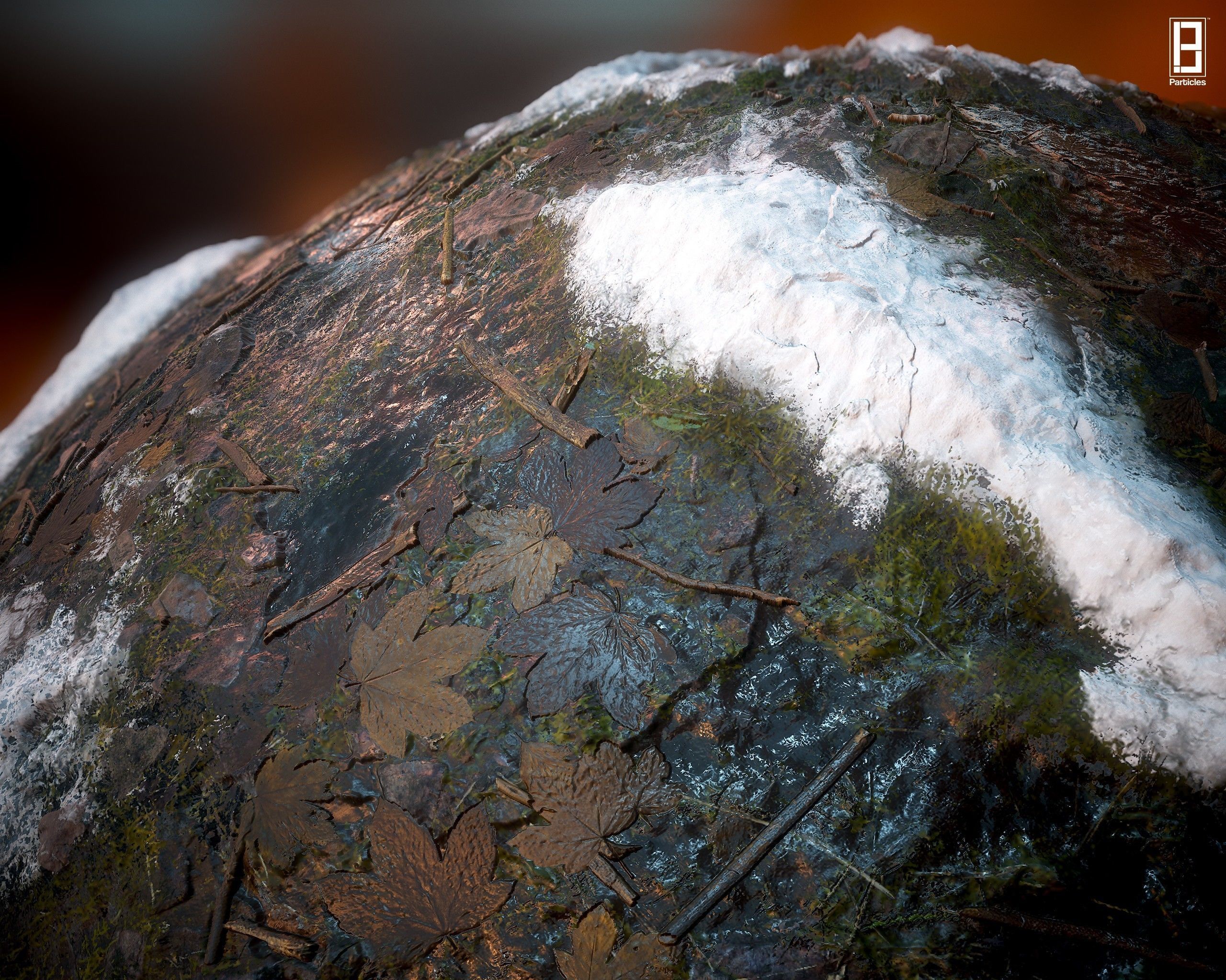 4k PBR Texture Of Snowy Moss Texture | CGTrader