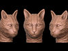 cat head 3D model 3D printable | CGTrader