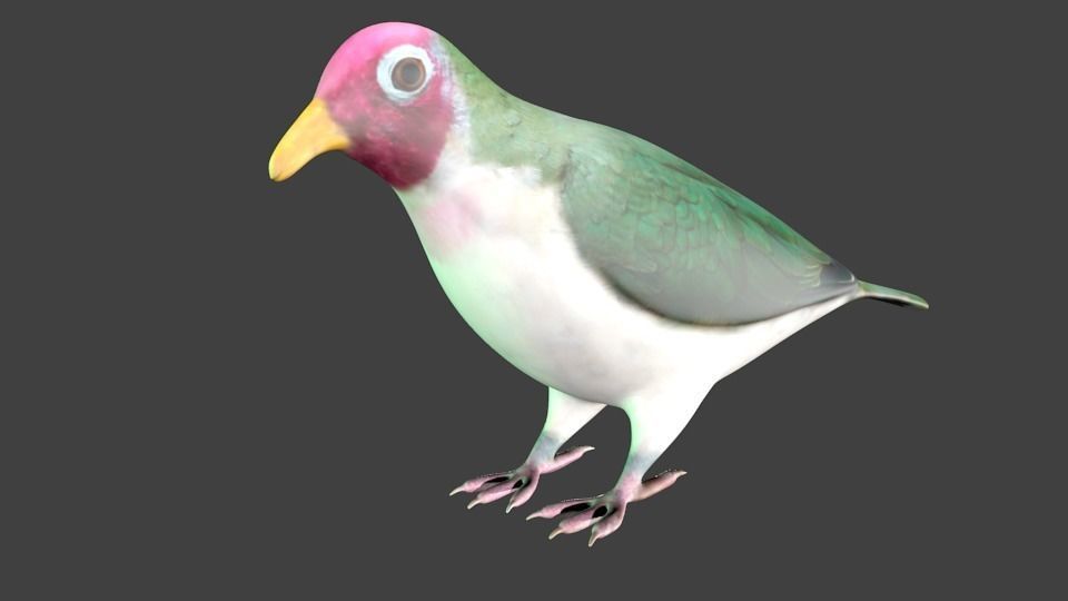 3D model lowpoly bird pigeon VR / AR / low-poly | CGTrader