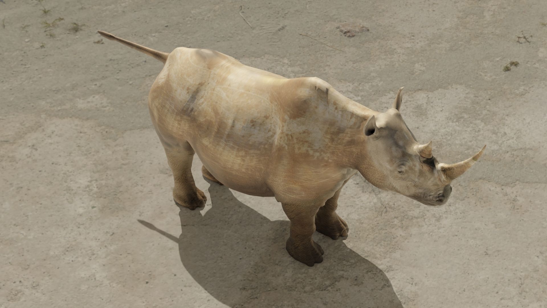 3D model Rhino 3d model rhinoceros VR / AR / low-poly | CGTrader