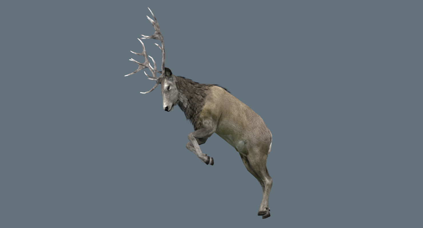 3D model Deer Rig VR / AR / low-poly | CGTrader