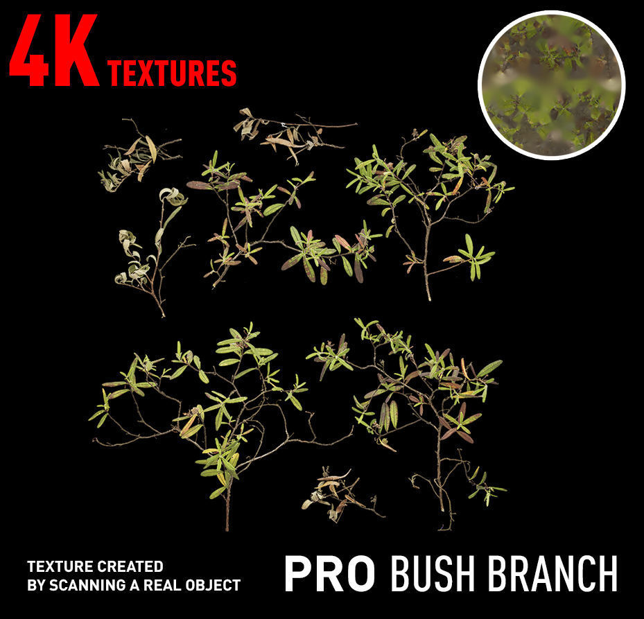 PBR Bush Branch 4K Professional Textures Texture | CGTrader