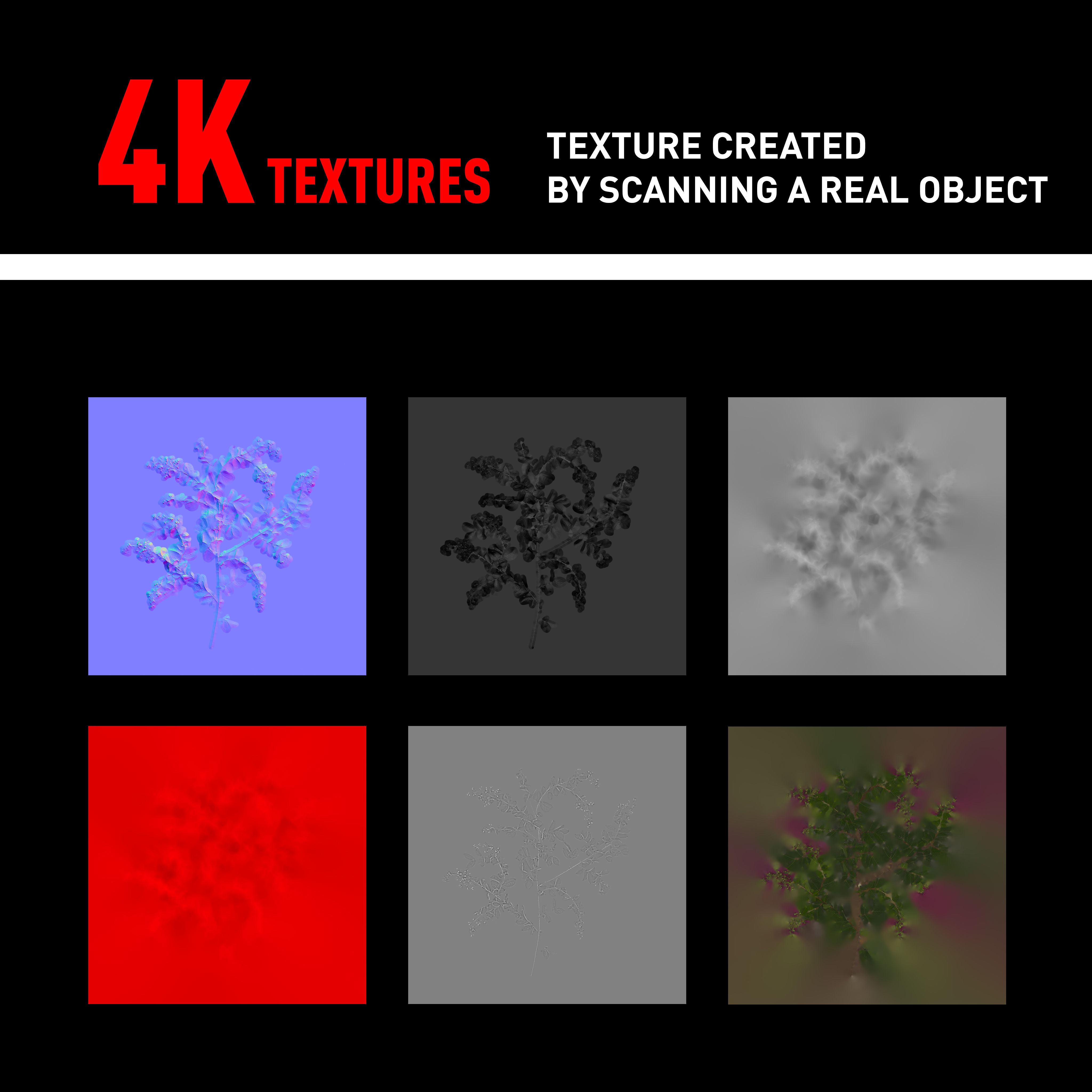 PBR Bush Branch 4K Professional Textures Texture | CGTrader