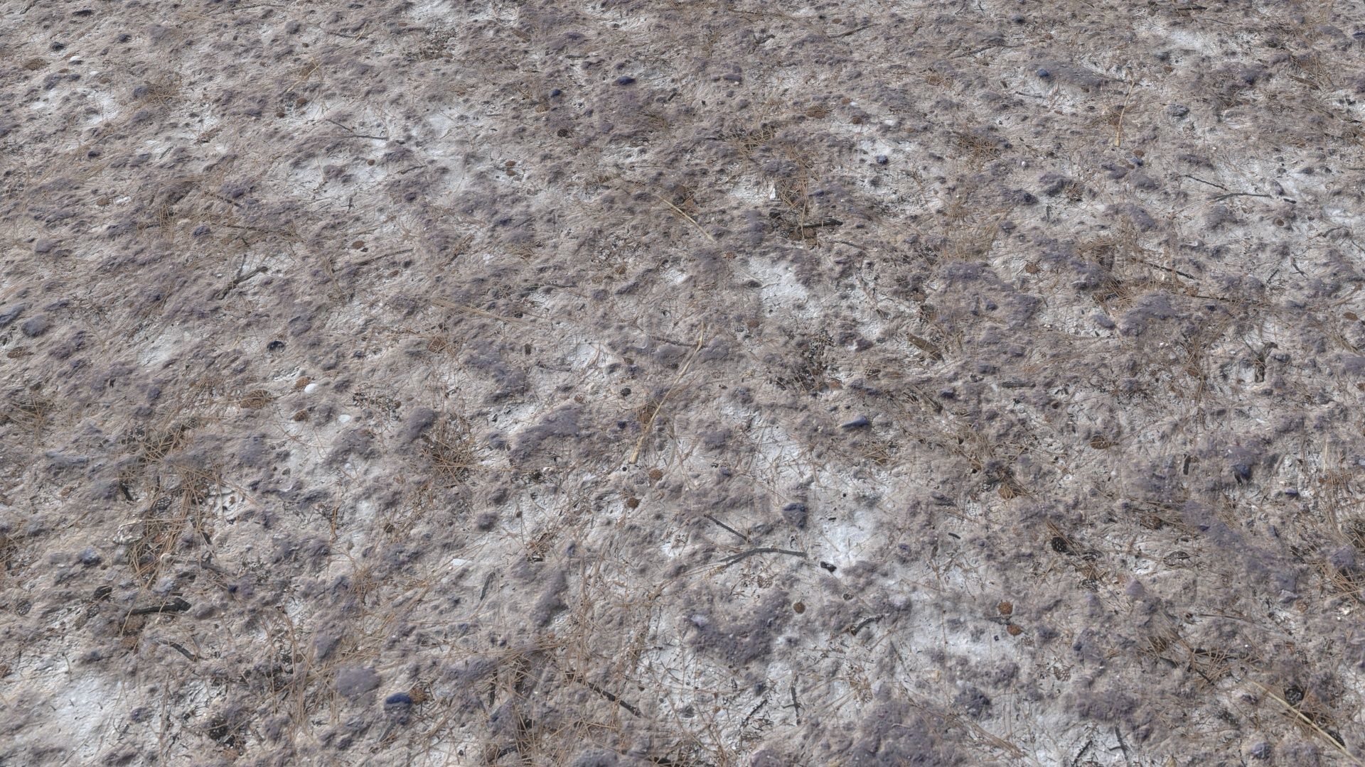 Dirty Terrain PBR Pack 1 Texture | CGTrader